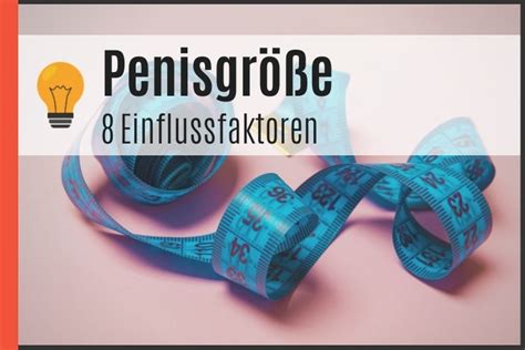 Diese 8 Faktoren Bestimmen Die Penisgröße [2024] — Potenz Tipps Für