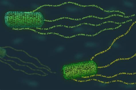 a programming language for living cells