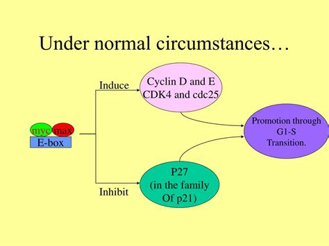 Ppt Myc Powerpoint Presentation Free Download Id 3702248