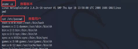 《网络攻击与防御》 Linux攻击实验（4） Metasploit攻击linux Csdn博客
