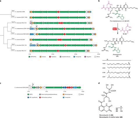 Representative Bgcs Of Uniqueness And Chemical Structures Thereof In