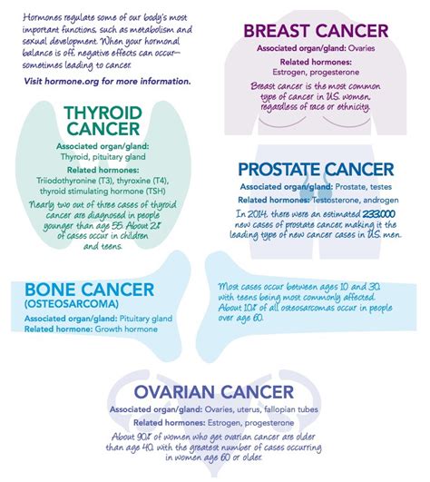 Hormones And Cancer How To Keep Your Body In Balance — Global