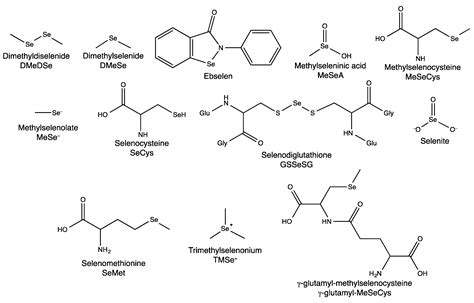 Nutrients Free Full Text Selenium Metabolism In Cancer Cells The