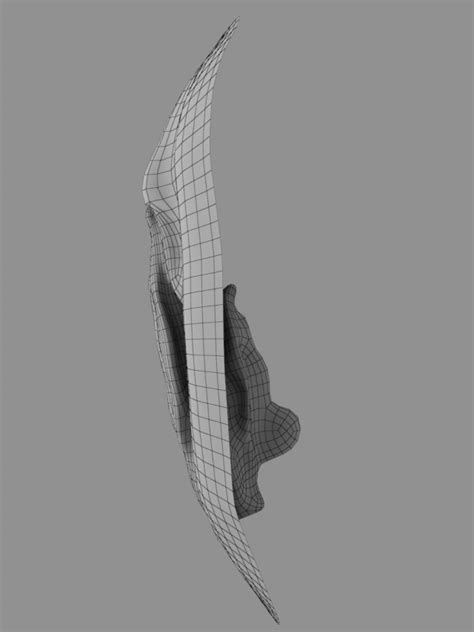 Realistic Female Vagina 3d 模型 In 解剖 3dexport