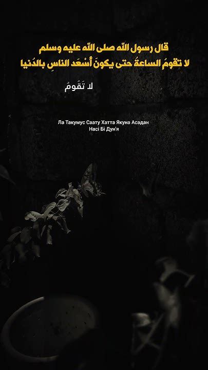قال رسول الله صلى الله عليه وسلم 💚لا تقومُ الساعةُ حتى يكونَ أسْعَد