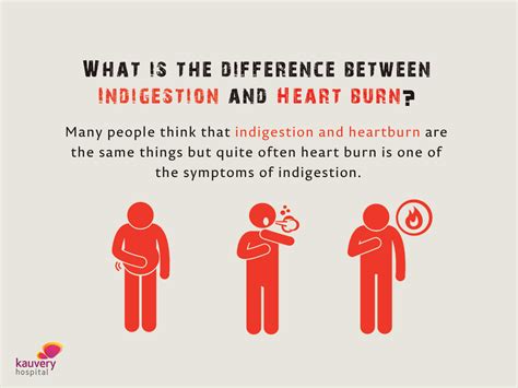 What Is The Difference Between Indigestion And Heart Burn