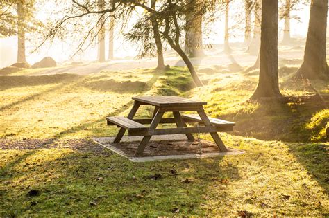 warksburn picnic area forestry england