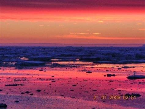 photos ross island images de ross island antarctique tripadvisor