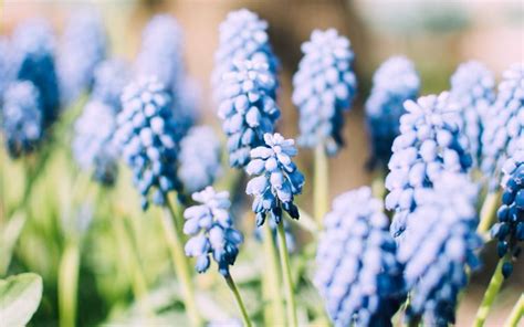 getting started with spring data cassandra dzone database