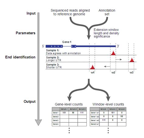 end sequence analysis toolkit esat a computational pipeline for