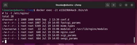 how to set up nginx mariadb and php with docker compose
