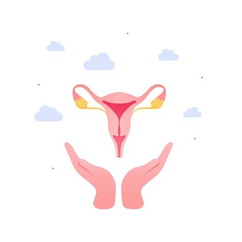 Sex Education Female Reproductive System Biology Class Concept Vector