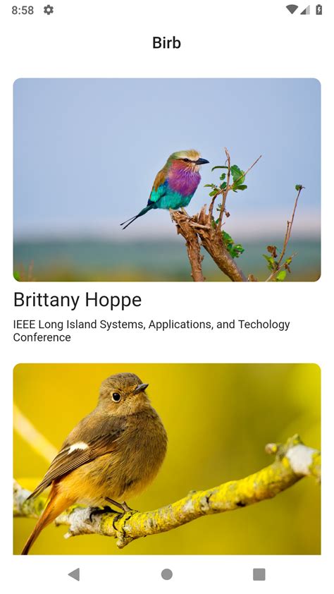 a month of flutter rendering network images bendyworks we are