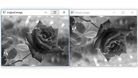 rotate a grayscale image by 180 degree without using any