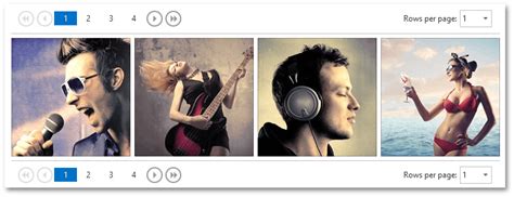 imagegallery asp mvc extensions devexpress documentation