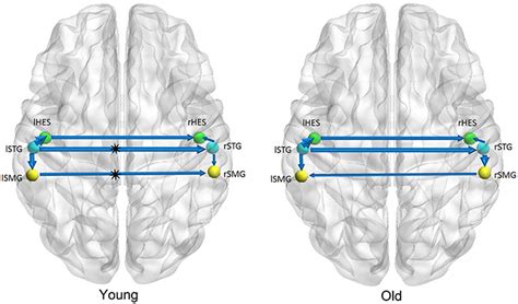 frontiers characterizing structural association alterations within
