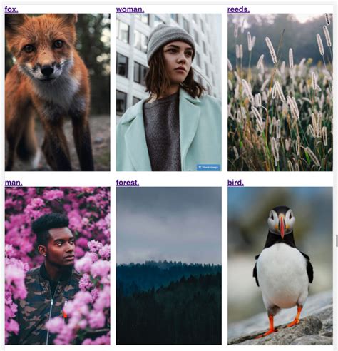building a photo gallery with css grid and tailwind css nick basile
