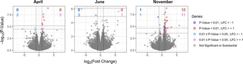 Sexually Differential Expression Pairwise Comparisons Between Sexes For