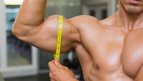 Quelle Est La Taille Moyenne Des Biceps Et Comment La Mesurer Coach
