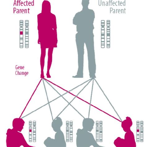 Schematic Of The Dominant Autosomal Inherited Pattern That C Syndrome