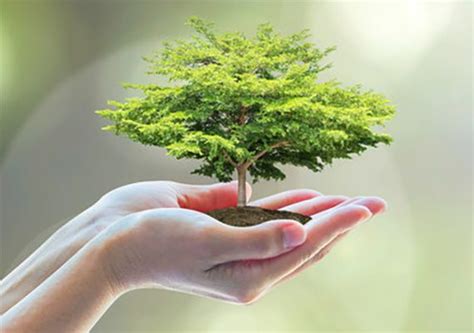 Respeito Ao Meio Ambiente E Responsabilidade Social Também São