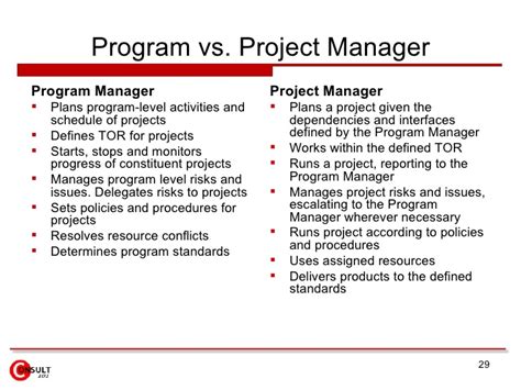 project program and portfolio management