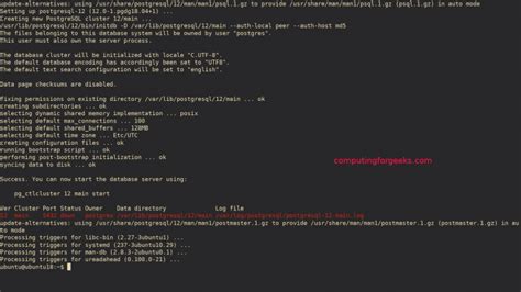 how to install postgresql 12 on debian 12 10 9 computingforgeeks
