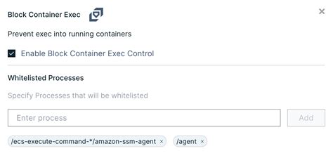 aqua supports new amazon ecs exec troubleshooting capability