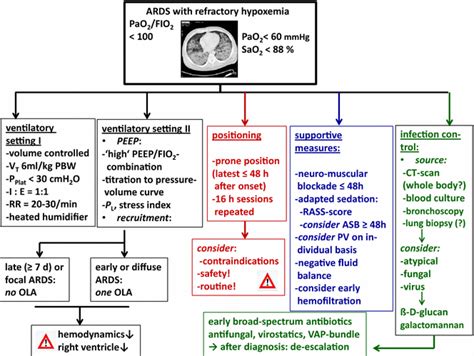 The Standard Of Care Of Patients With Ards Ventilatory Settings And