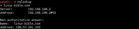 nslookup command linux