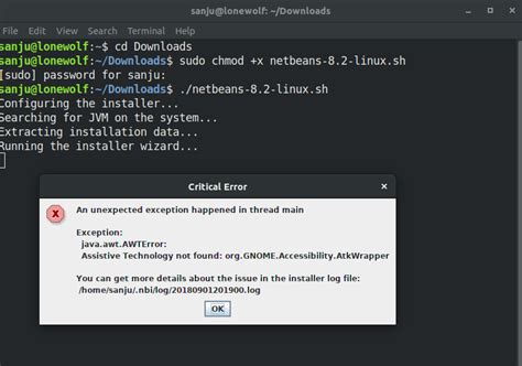 software installation error while installing netbeans 8 2 in ubuntu