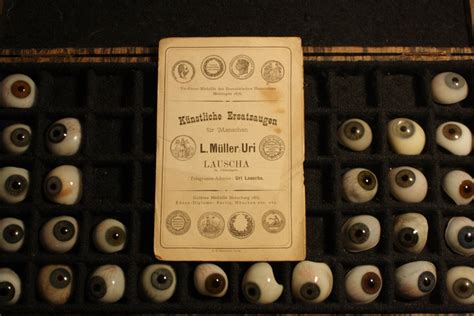 museum of curiosity set to ignite wonder with collection