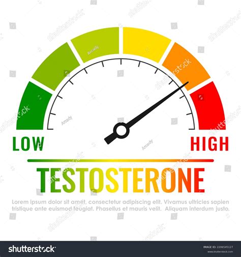 Testosterone Level Metering Scale Vector Illustration Stock Vector