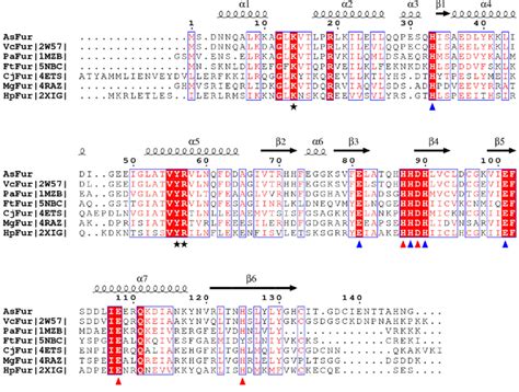 structure based sequence alignment of asfur with known fur structural