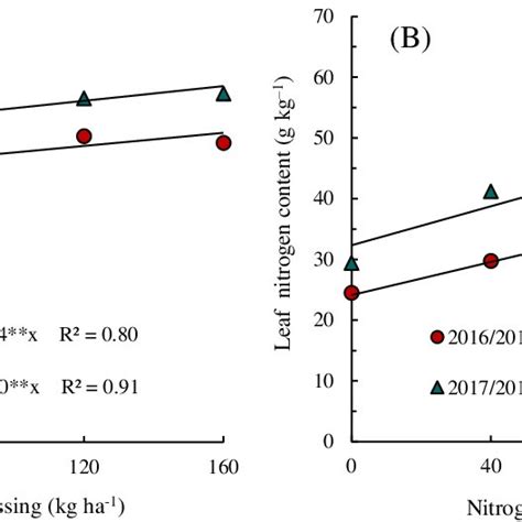Effect Of Application Rates Of Nitrogen Fertilizer In Topdressing On
