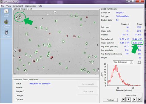 avoiding the pitfalls when automating cell viability counting for