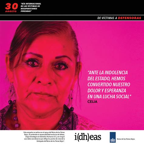 Campaña De Víctimas A Defensoras Idheas Litigio Estratégico En