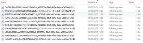 machinekeys folder windows 10 mesinl