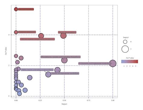 Bubble Plots Of The Metabolic Pathway Analysis The Main Metabolic