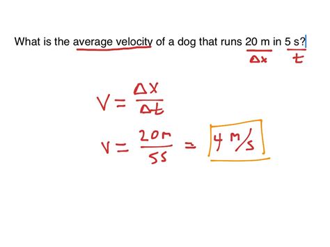 showme average velocity