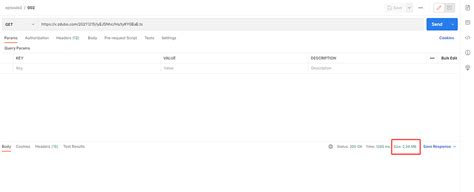 how to handle binary response with collection runner 🙋 help postman