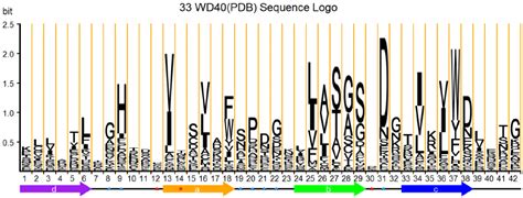 Sequence Logo Of The Wd40 Repeat In Which The Heights Of Letters Show