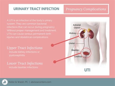 Uti Urinary Tract Infection Practi… Flickr