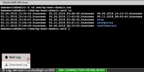 web ssh terminal log