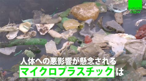 人体への影響懸念“プラゴミ”河川からも…（2018年10月26日掲載）｜日テレnews Nnn