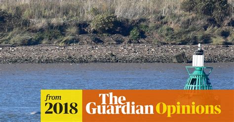 the lonely thames beluga whale is an anomaly and an omen philip