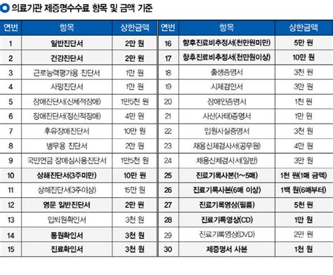 일반진단서 2만 원 이상 못 받는다 덴탈아리랑