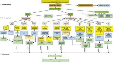 Diagnostic Algorithm For A Newborn Or Breastfed Infant With A Different