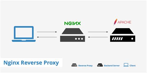 learn nginx [2021] — top nginx tutorials web server web