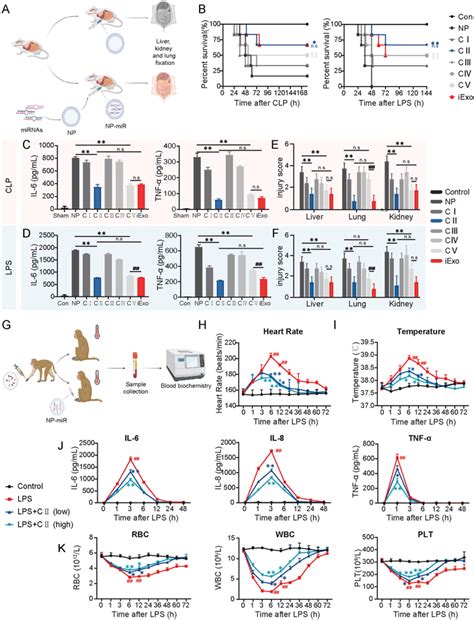 Synthetic Exosome Mimics Cii Alleviate Sepsis In Vivo A Schematic